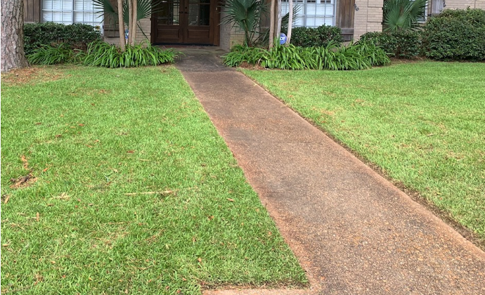 How to properly edge your lawn (and why it matters) - Mow & Blow Blog